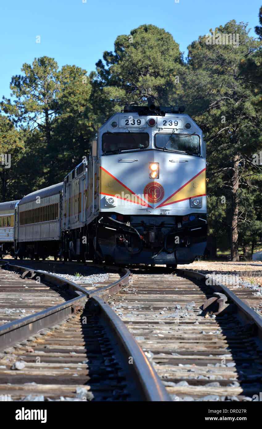 Grand Canyon Railway loco 239, a 1977 Amtrak diesel built by General ...