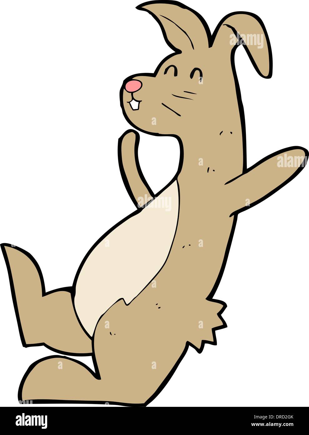 Silly hare hi-res stock photography and images - Alamy