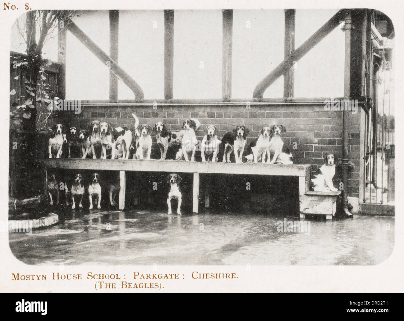 Mostyn house school hi-res stock photography and images - Alamy