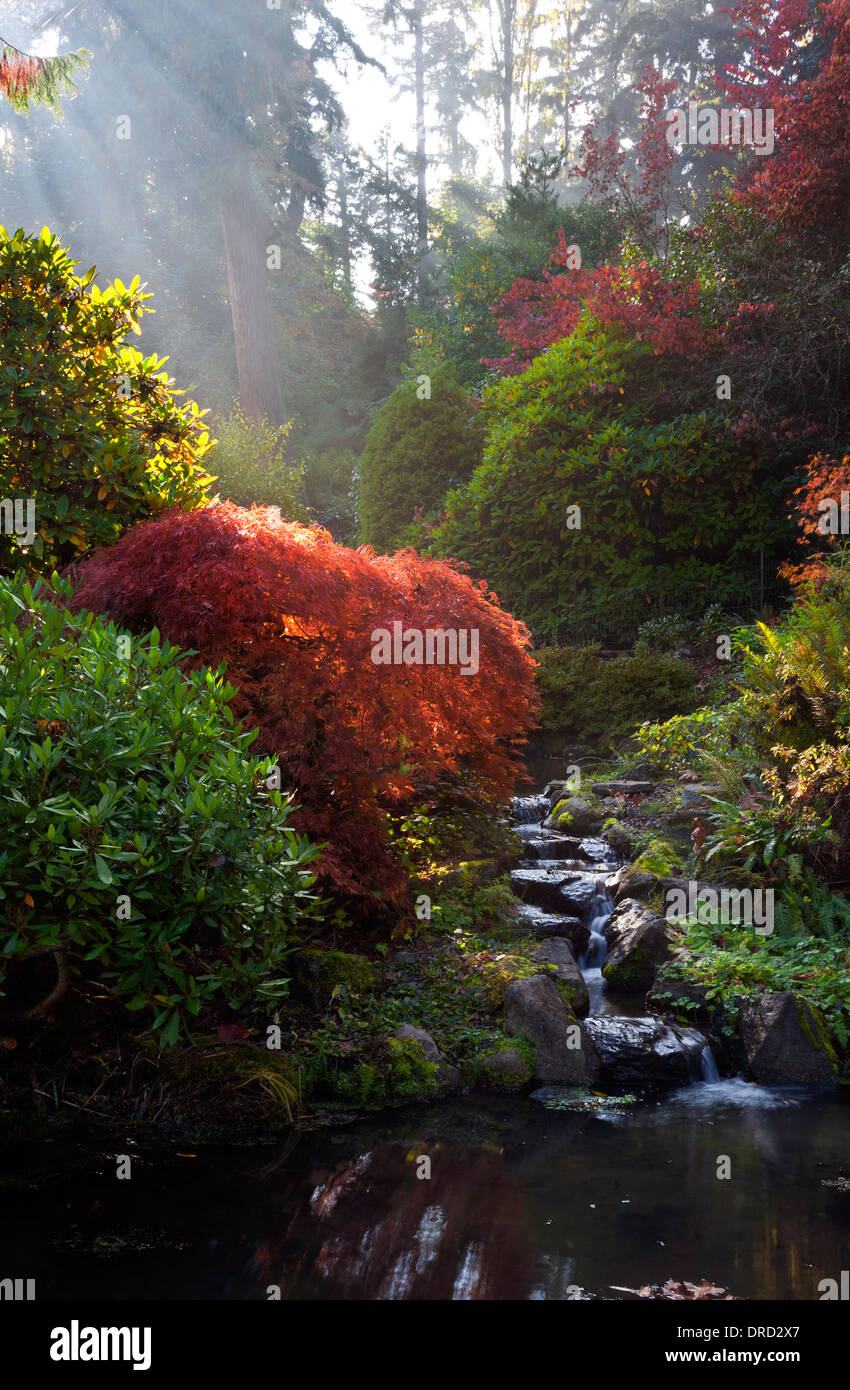 WASHINGTON - Autumn color along a small creek near Heart Bridge in ...
