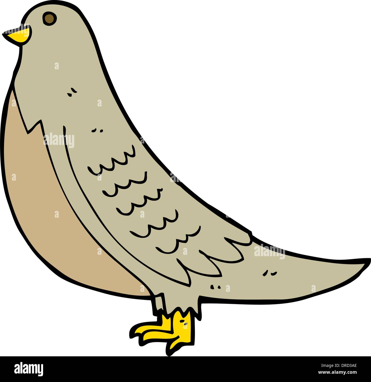 cartoon common bird Stock Vector Image & Art - Alamy