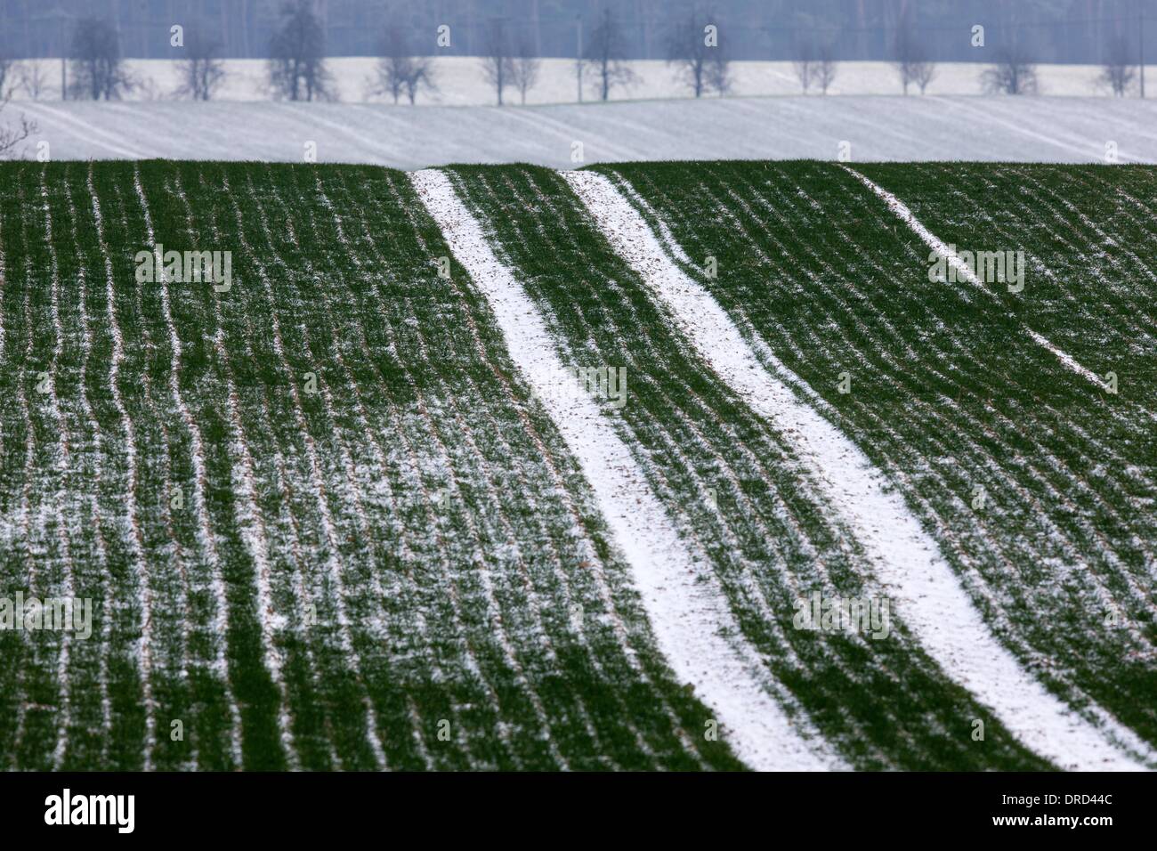 Thin layer snow covers hi-res stock photography and images - Alamy
