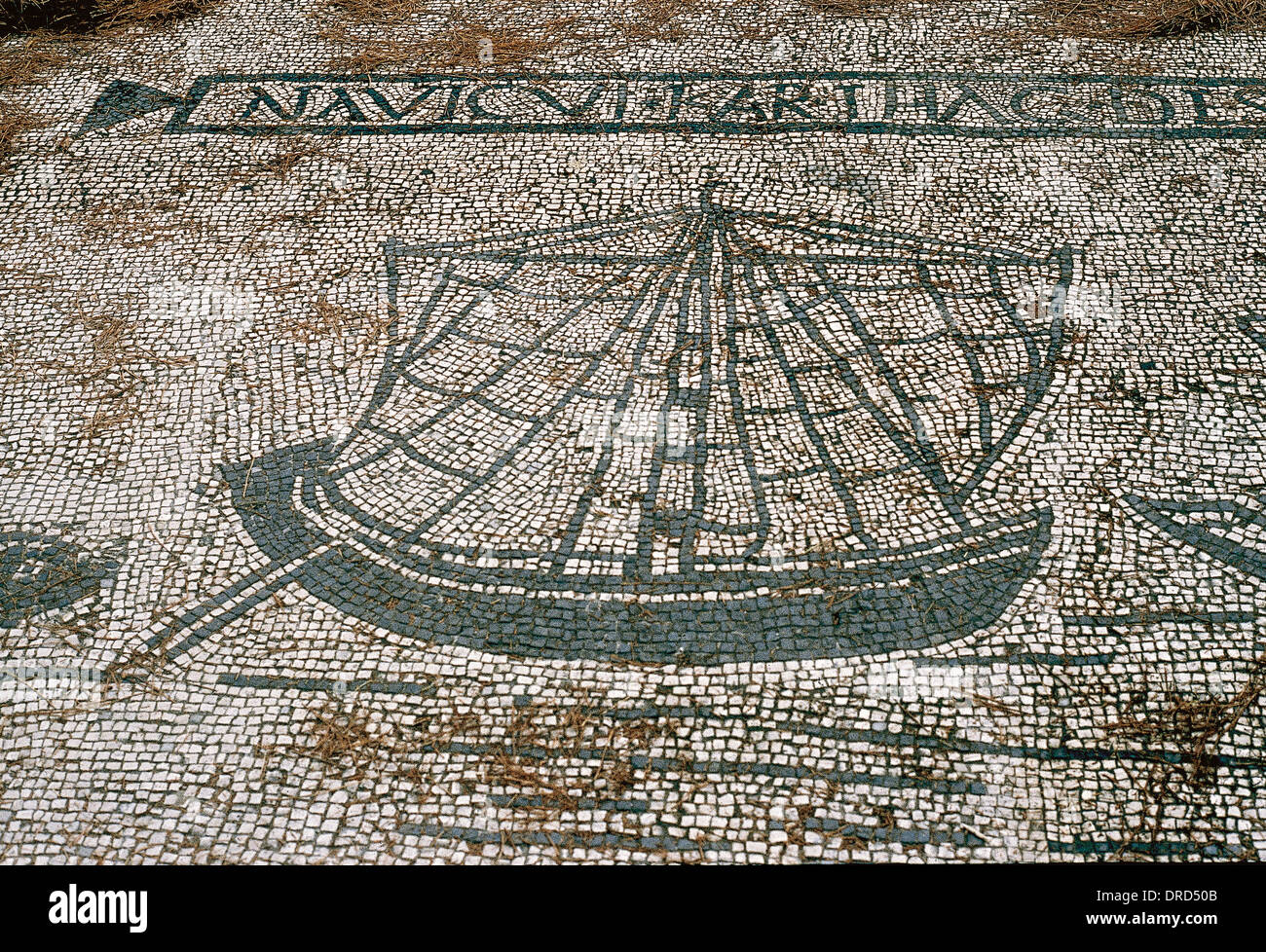 Ostia mosaic ship hi-res stock photography and images - Alamy