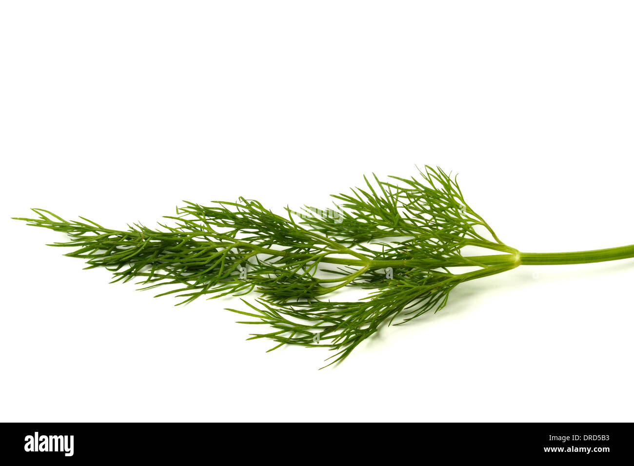 Diil leaf hi-res stock photography and images - Alamy