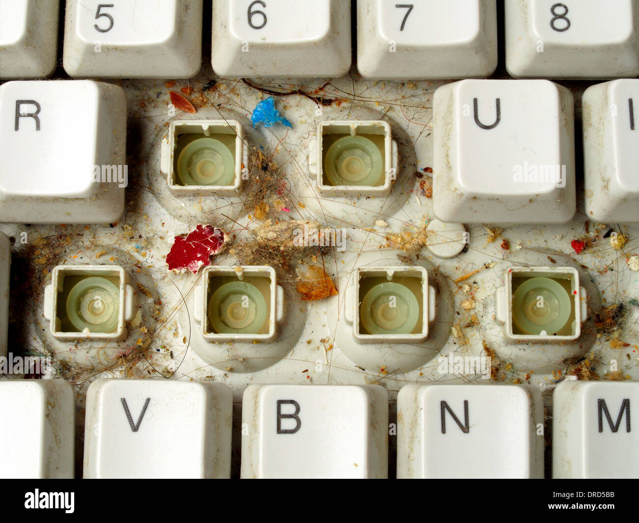 Computer keyboard with keys removed for cleaning Stock Photo - Alamy