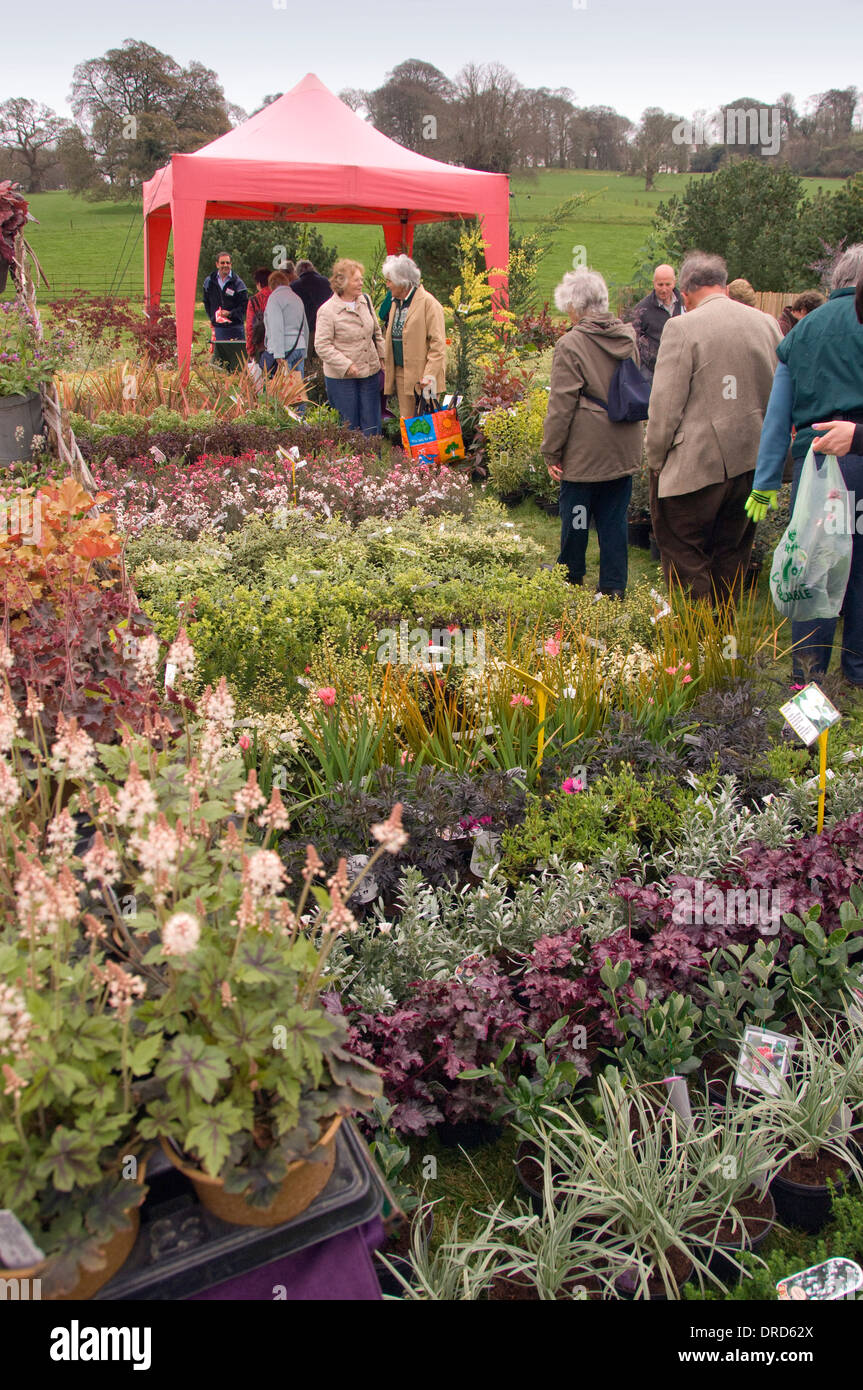 Cornwall garden society spring garden show hi-res stock photography and ...