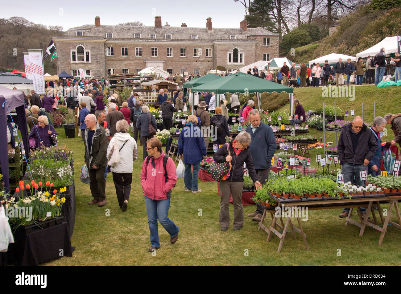 Cornwall Garden Society 100th.Spring Garden Show Stock Photo - Alamy