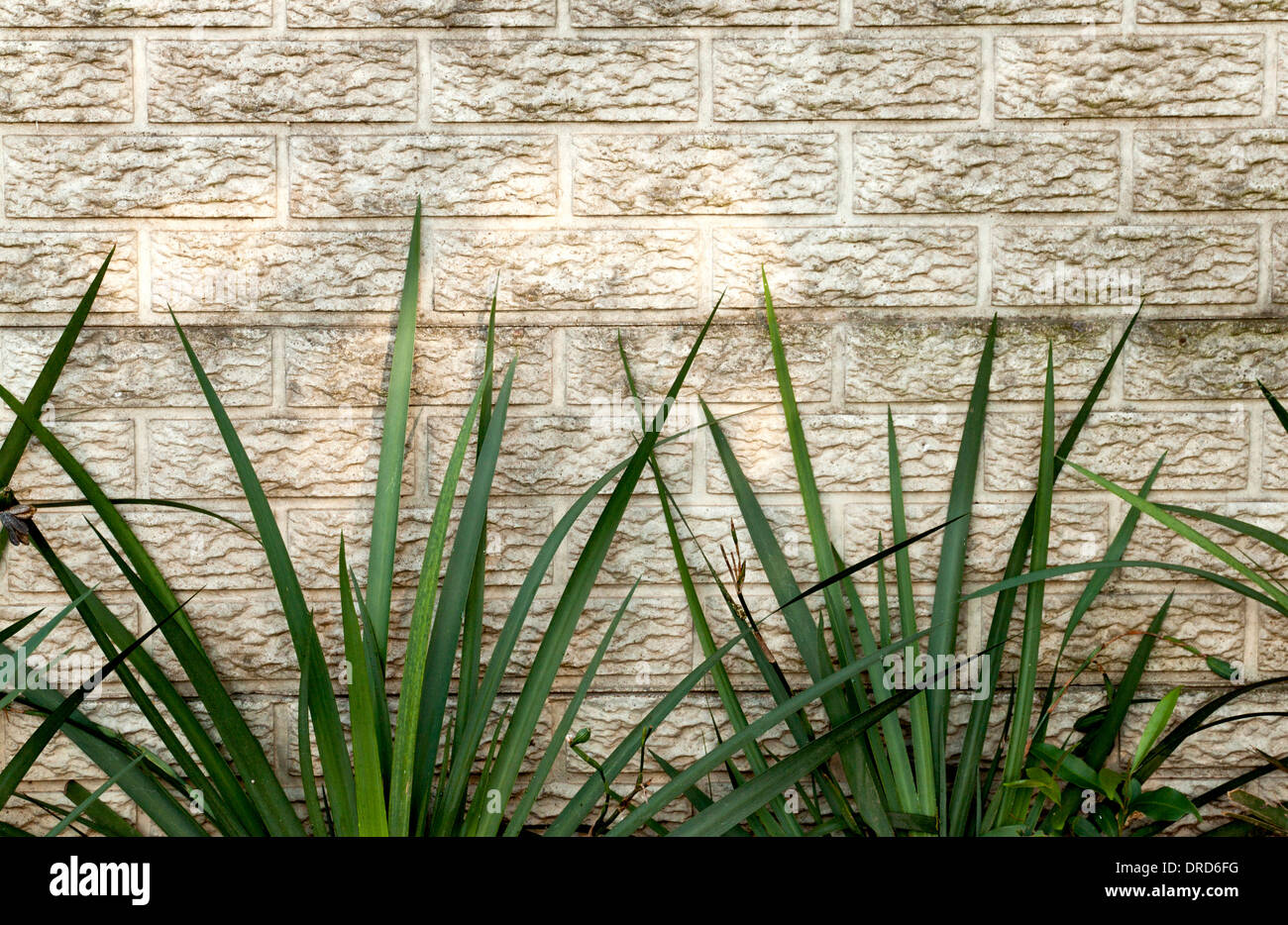 Precast Concrete Wall High Resolution Stock Photography and Images - Alamy