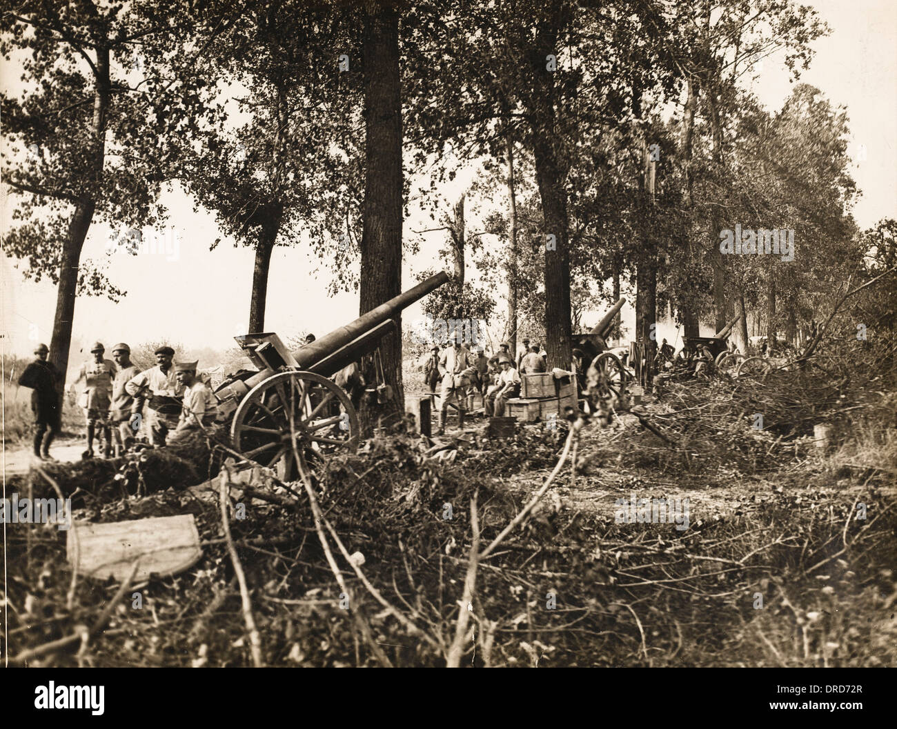 German artillery WWI Stock Photo - Alamy