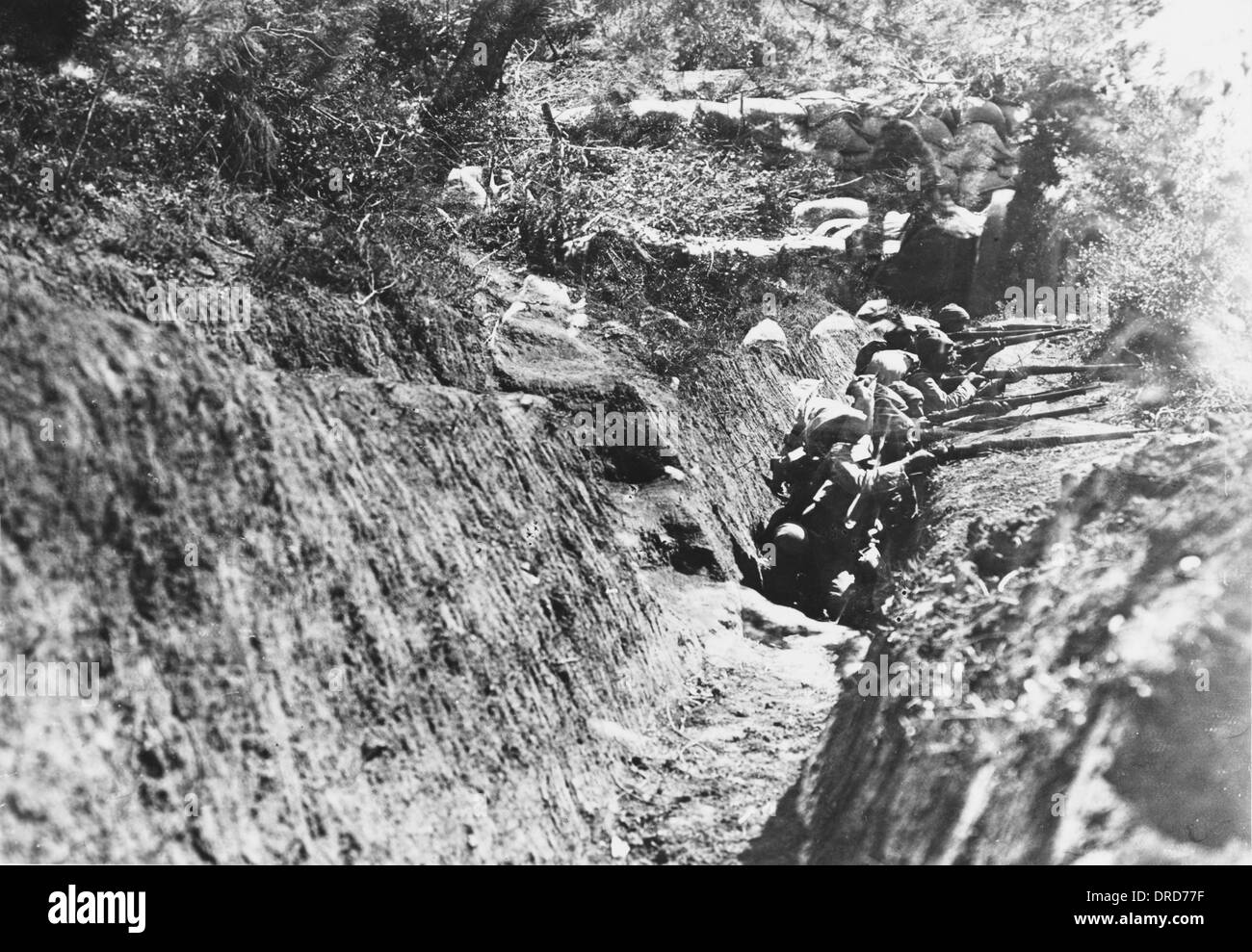 Turkish Trenches WWI Stock Photo - Alamy
