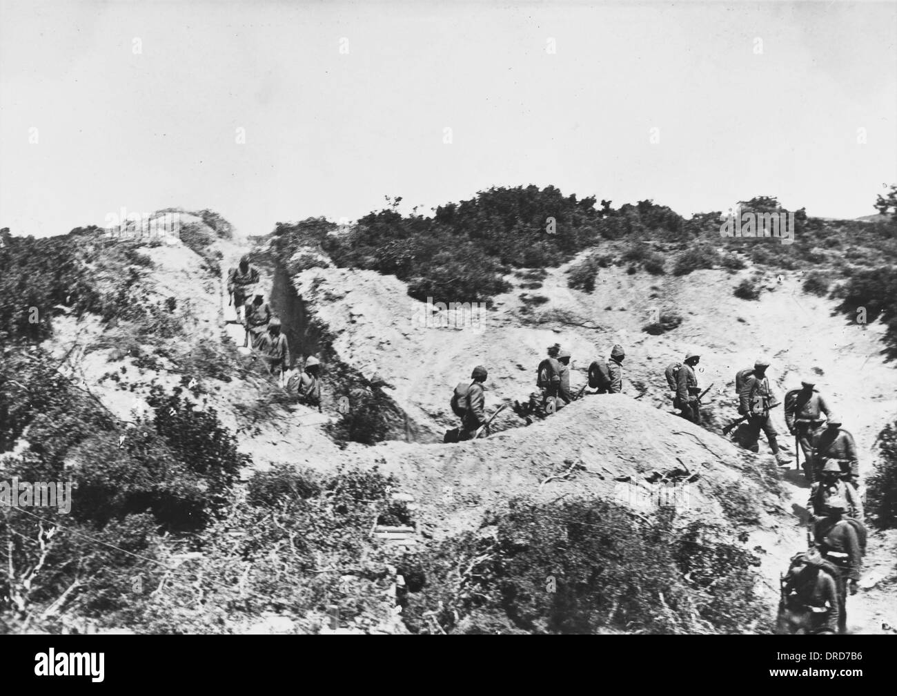 Trenches gallipoli hi-res stock photography and images - Alamy