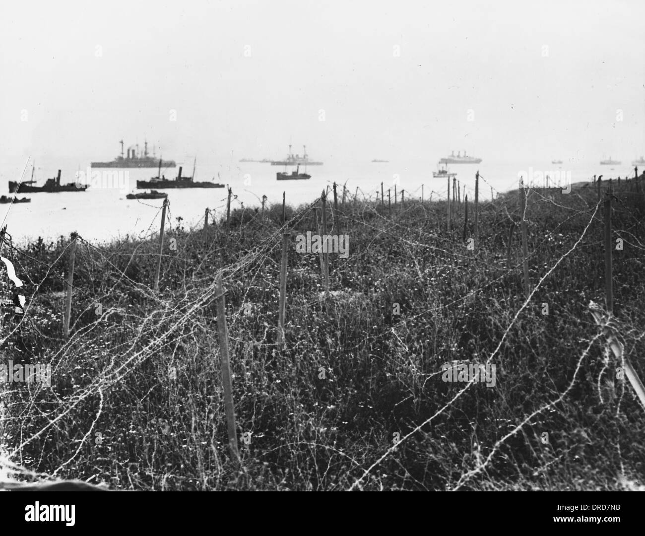 Barbed wire wwi 1915 hi-res stock photography and images - Alamy