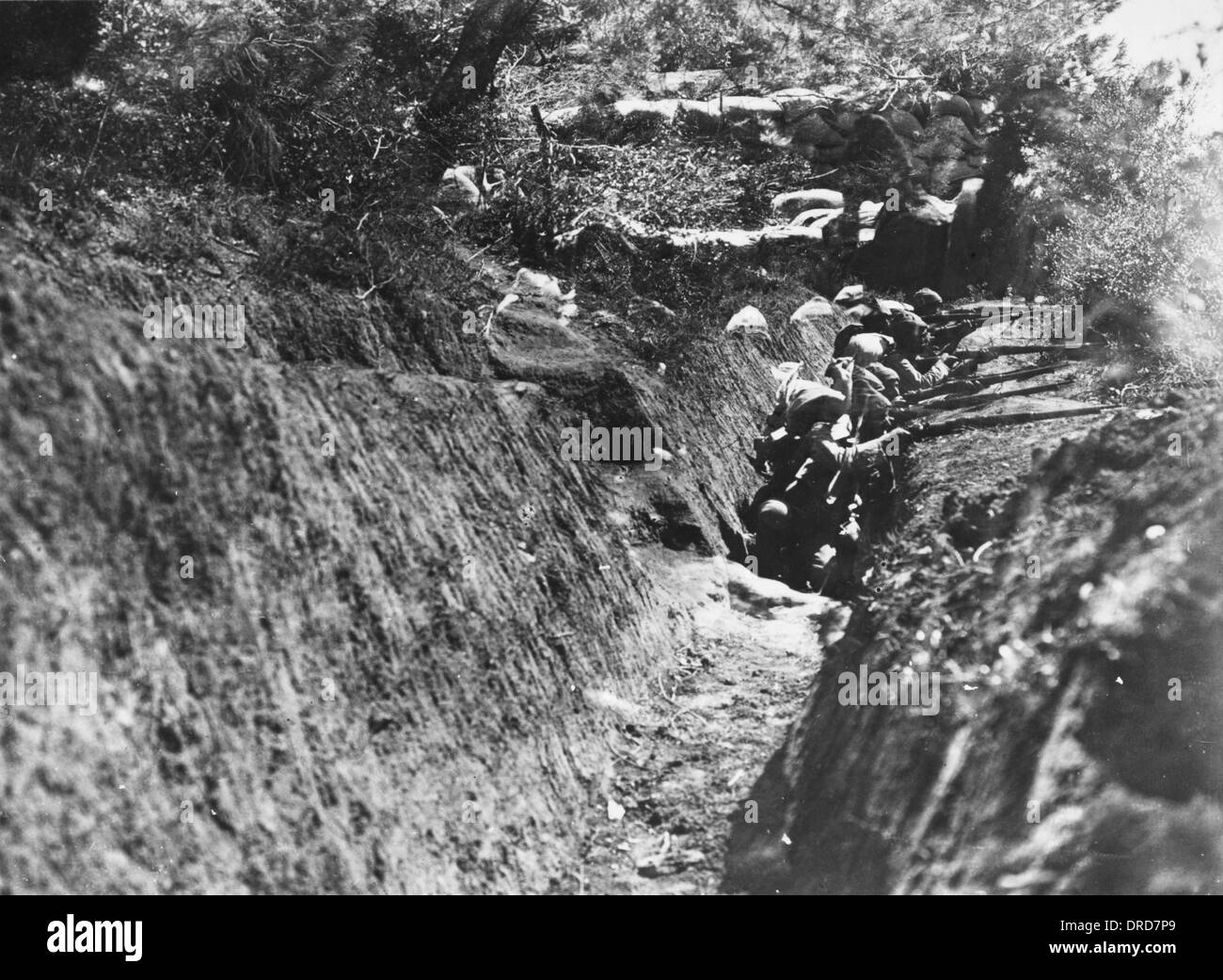 Trench warfare wwi hi-res stock photography and images - Alamy