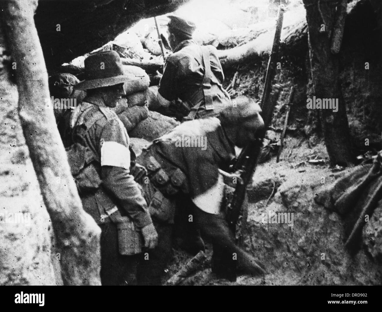 Gallipoli lone pine hi-res stock photography and images - Alamy