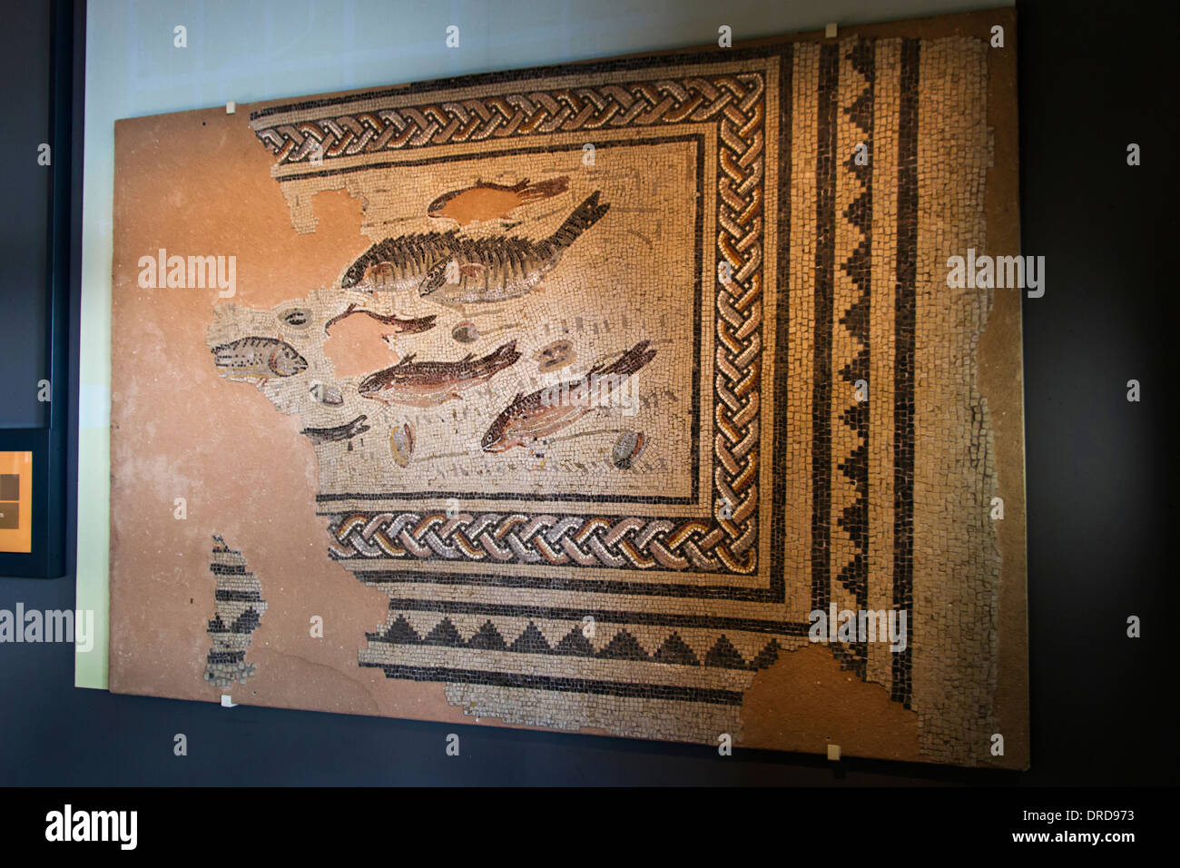 Roman mosaic fish hi-res stock photography and images - Alamy