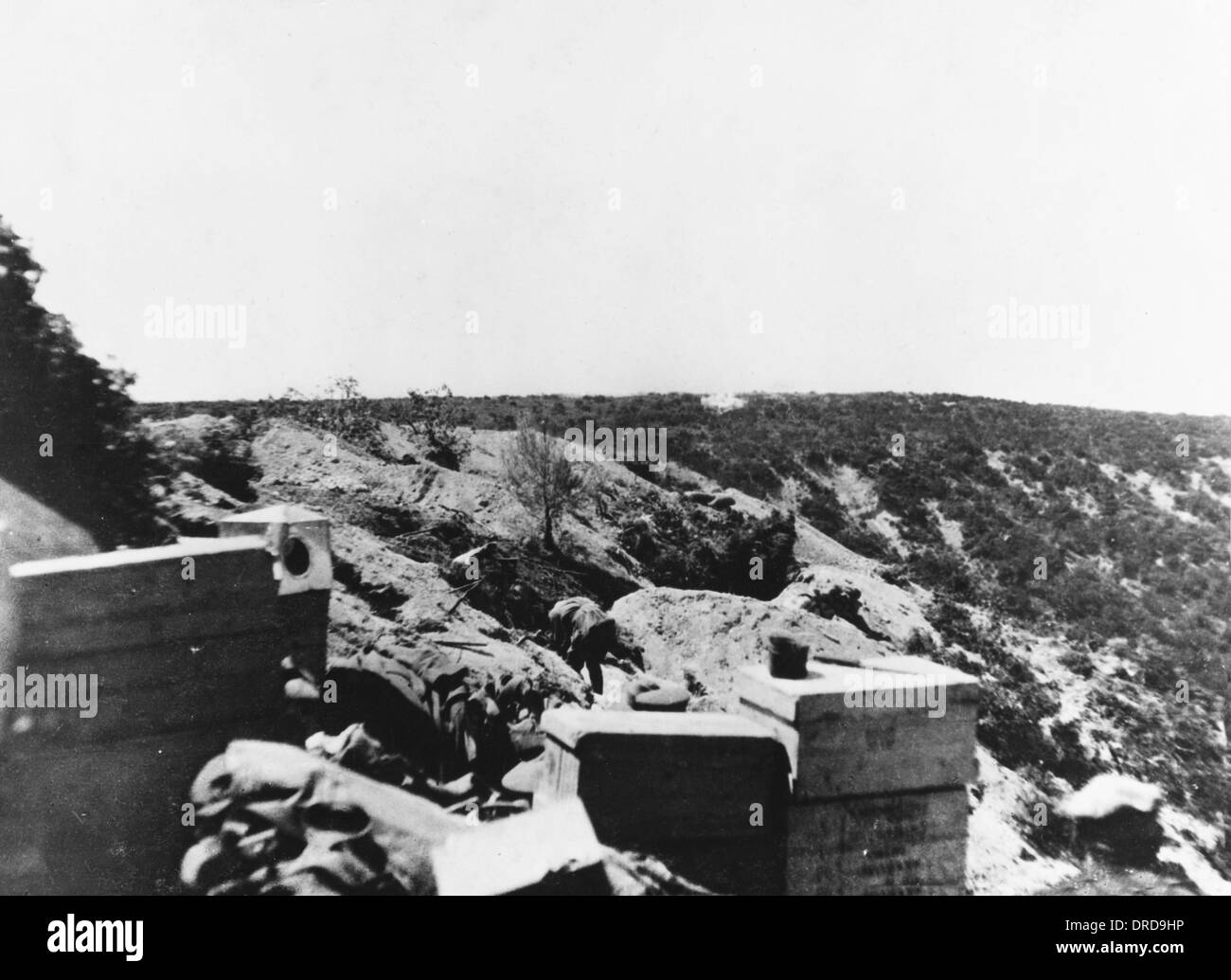 Gallipoli front hi-res stock photography and images - Alamy