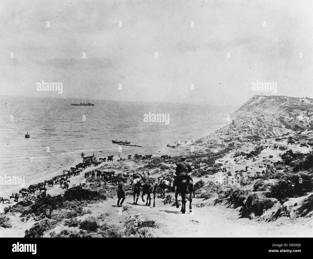Gallipoli 1915 Black and White Stock Photos & Images - Alamy