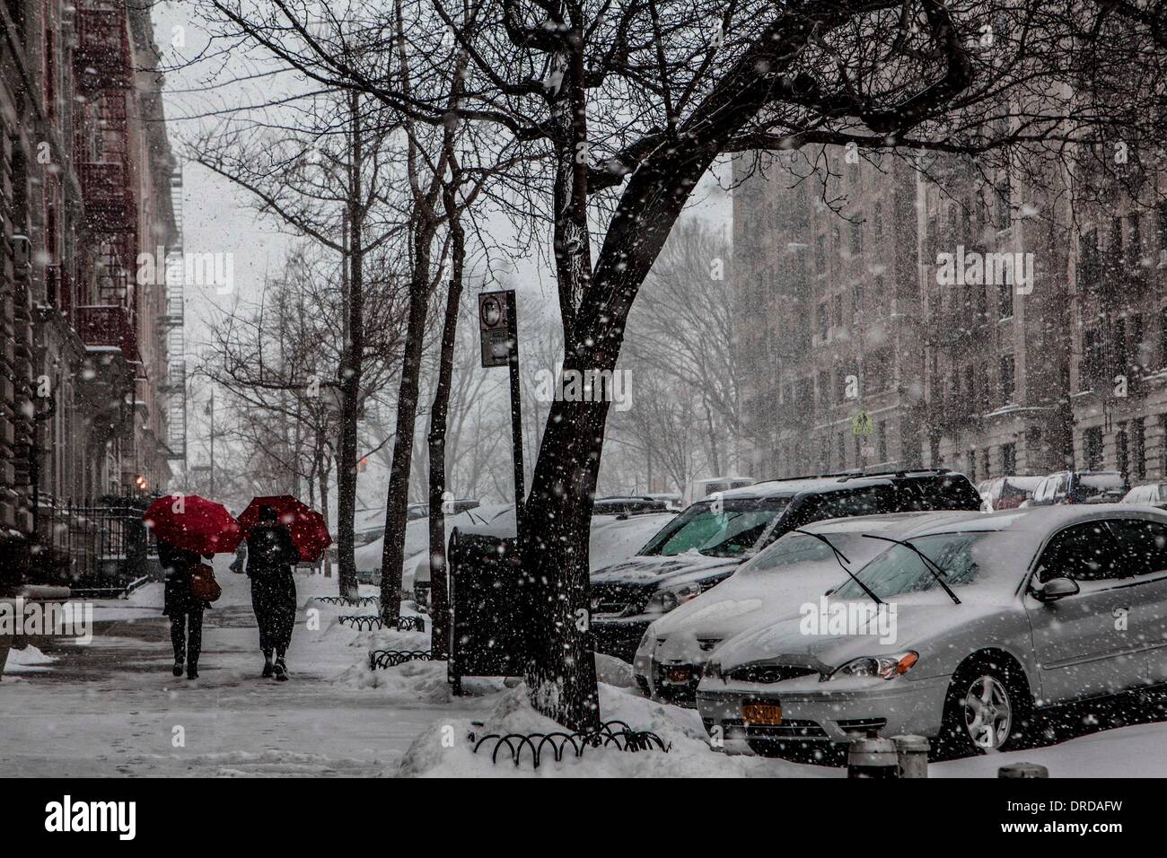 New York, USA. 21st Jan, 2014. A major snowstorm blanketed much of the ...