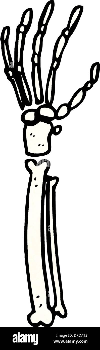 cartoon skeleton hand Stock Vector Image & Art - Alamy