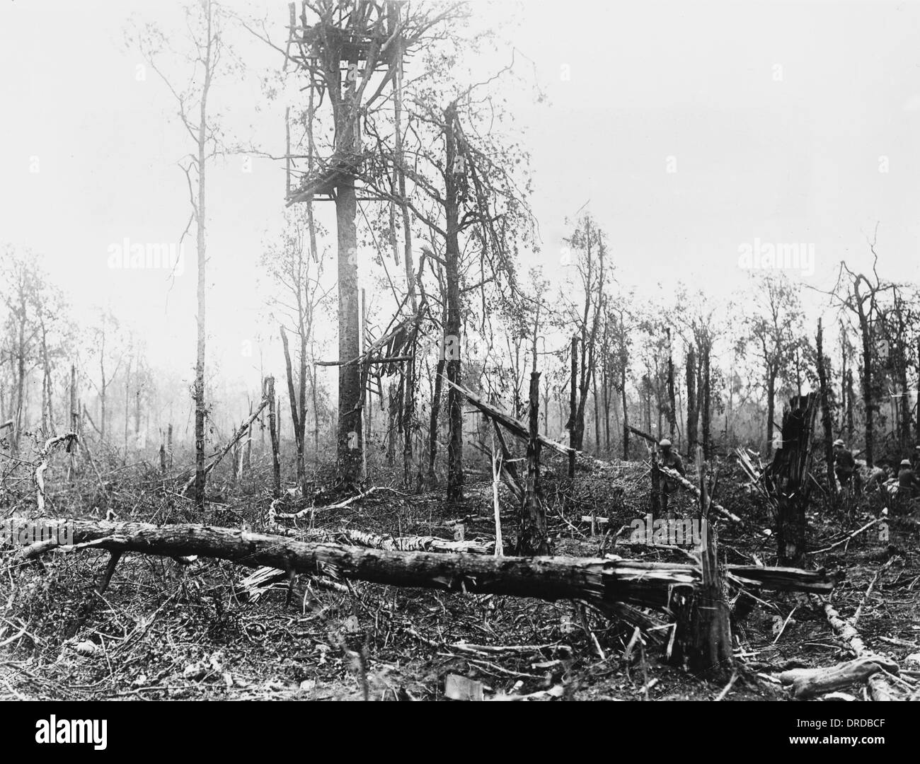 German observation post WWI Stock Photo - Alamy