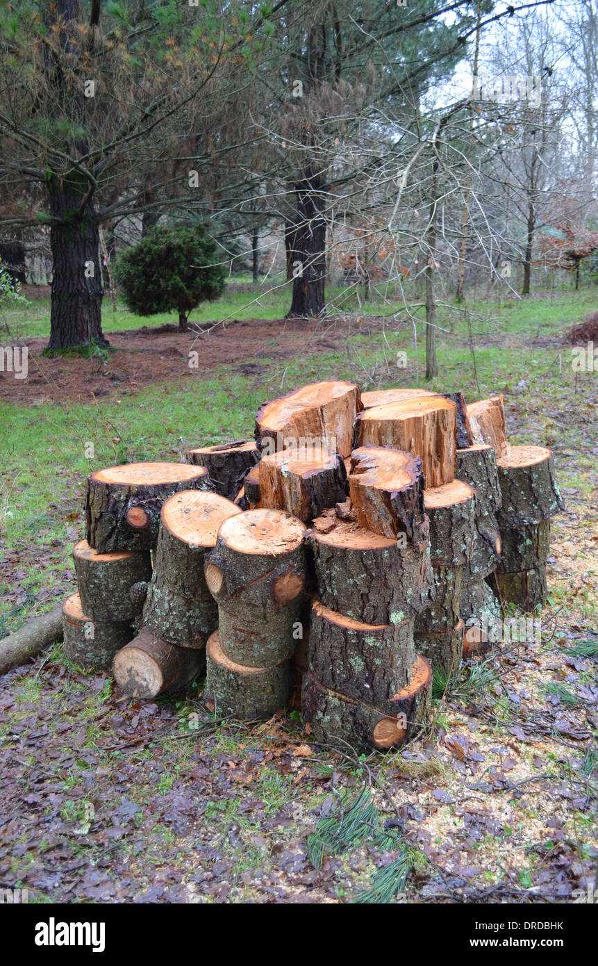 Log pile stacked ready for collection Stock Photo - Alamy