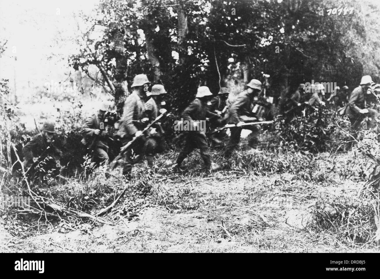 Ploegsteert Wood WWI Stock Photo - Alamy