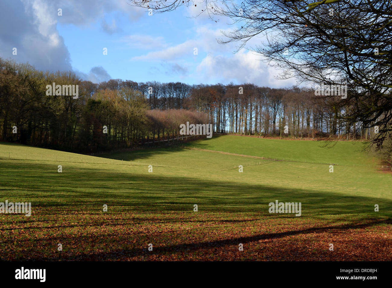 Oosterbeek Estate High Resolution Stock Photography and Images - Alamy