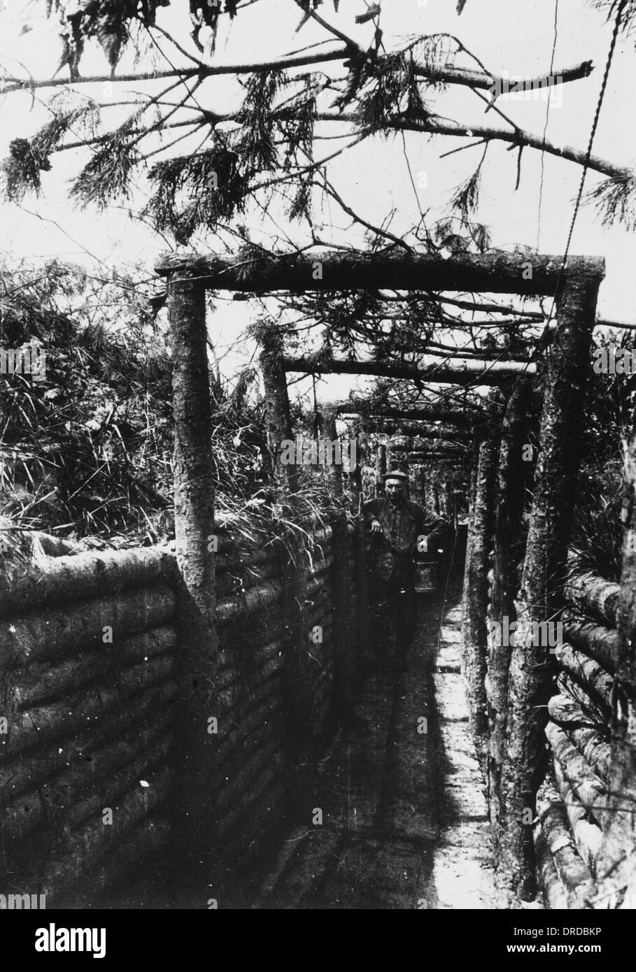 Communication trench WWI Stock Photo - Alamy