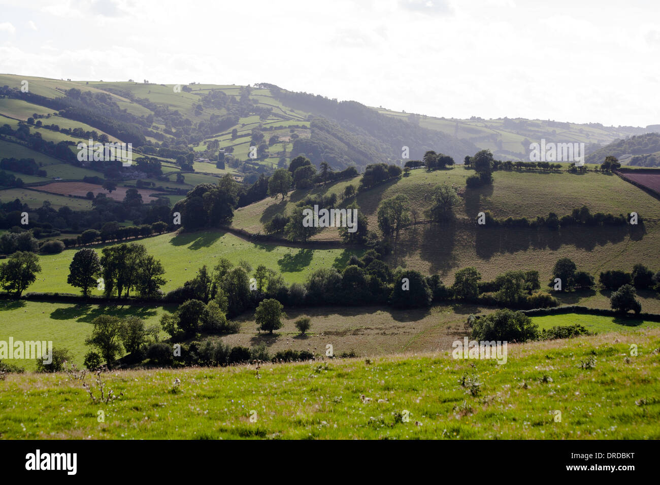 Clun river shropshire hi-res stock photography and images - Alamy
