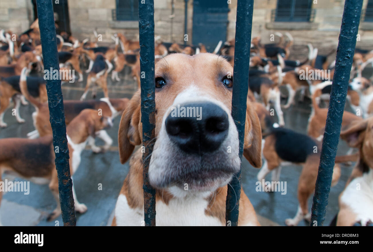 Percy hunt hi-res stock photography and images - Alamy