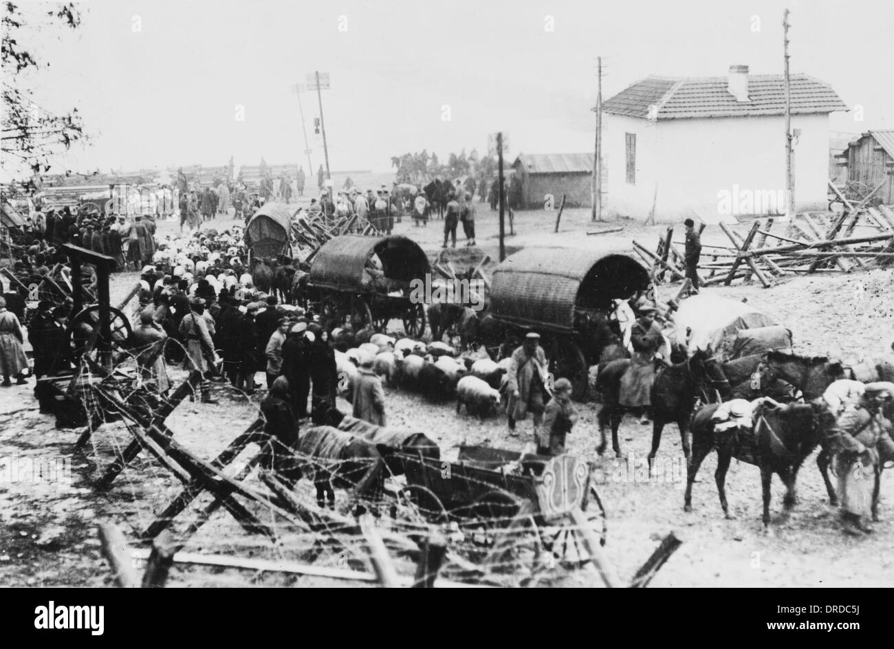 Agriculture world wwi hi-res stock photography and images - Alamy