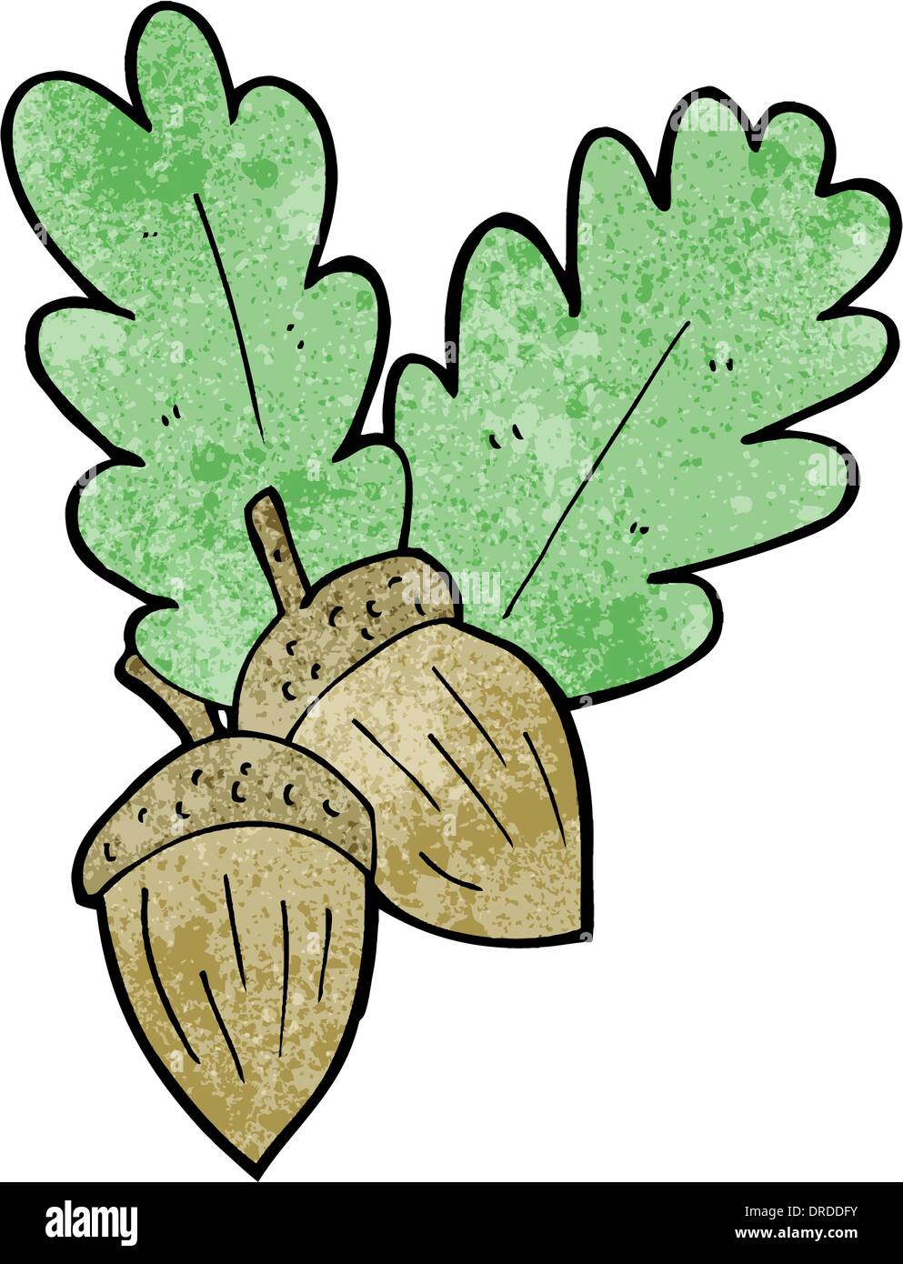 Acorns clip art line drawing hi-res stock photography and images - Alamy