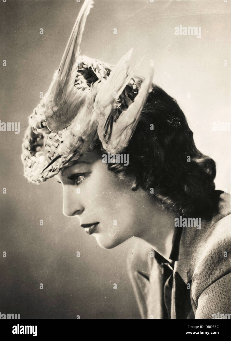 Dutch card - Ladies' hat with whole mounted bird Stock Photo - Alamy