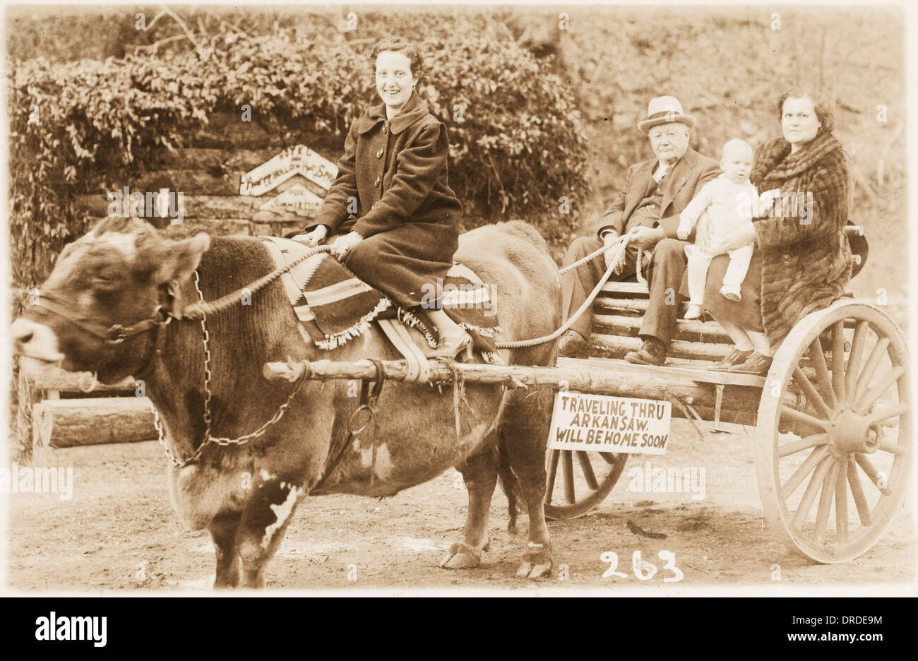 Riding ox cart hi-res stock photography and images - Alamy