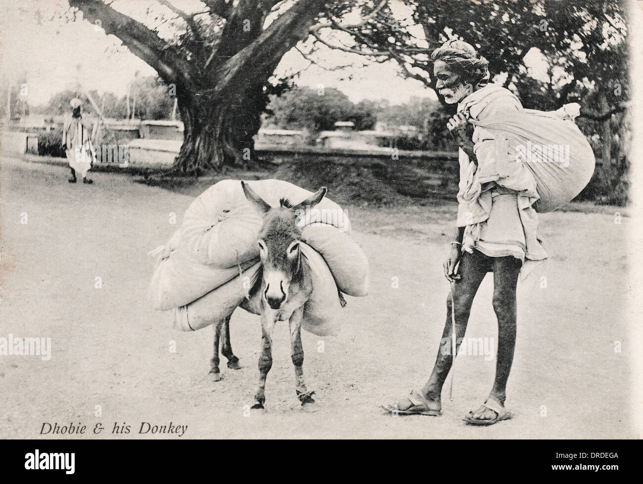 Indian Dhobie with his miniature donkey Stock Photo - Alamy