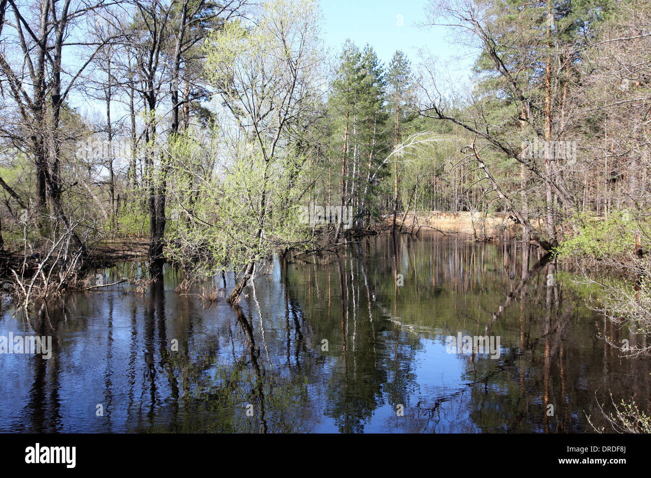 Spring seasonal river flood water hi-res stock photography and images ...