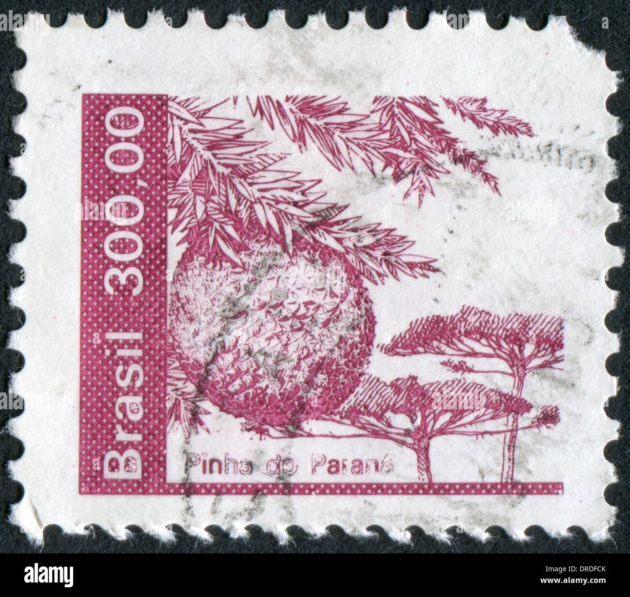 BRAZIL - CIRCA 1984: Postage stamp printed in Brazil, shows Conifer ...