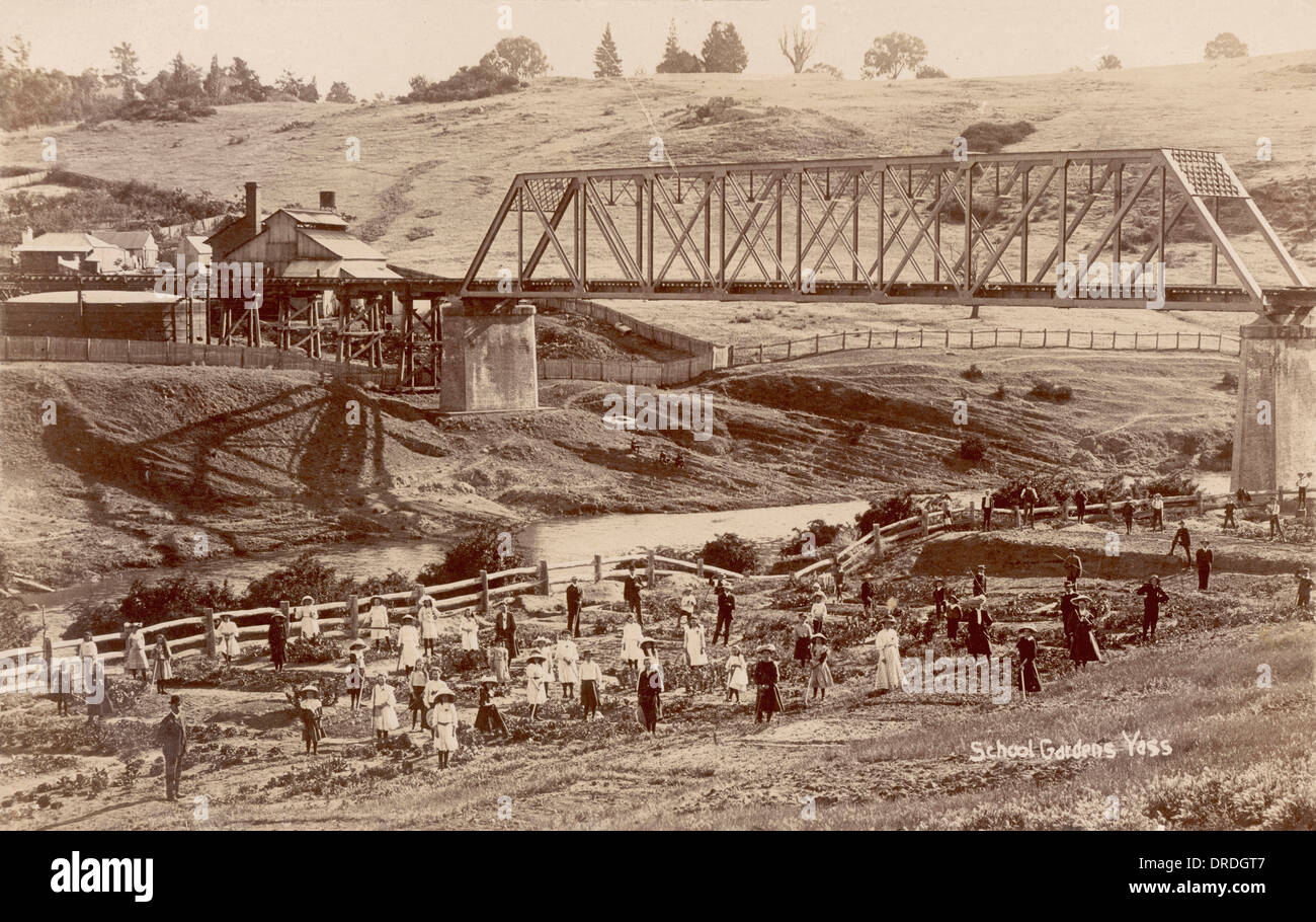 School gardens and bridge in Yass, NSW, Australia Stock Photo - Alamy