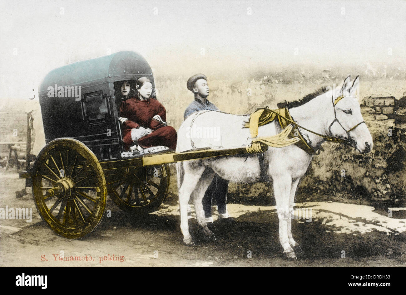 Mule Carriage High Resolution Stock Photography and Images - Alamy