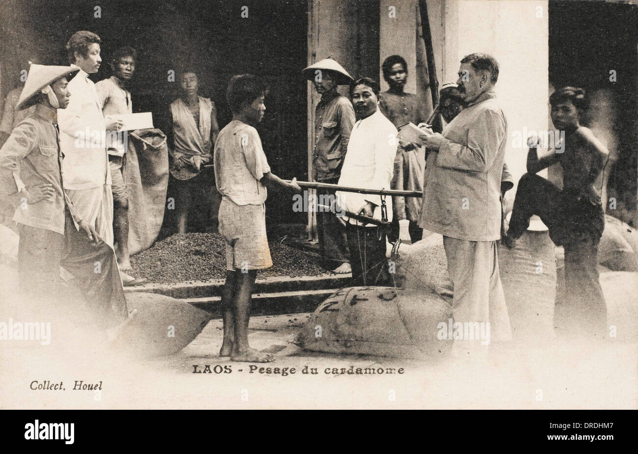 Laos - Sacks of cardamom being weighed Stock Photo - Alamy