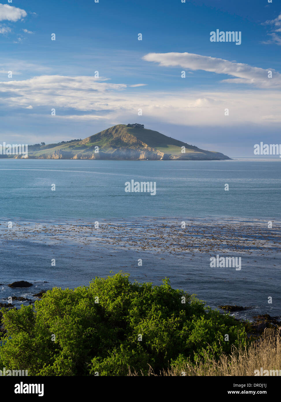 Karitane new zealand hi-res stock photography and images - Alamy