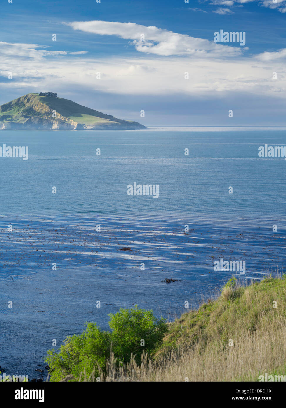 Karitane hi-res stock photography and images - Alamy