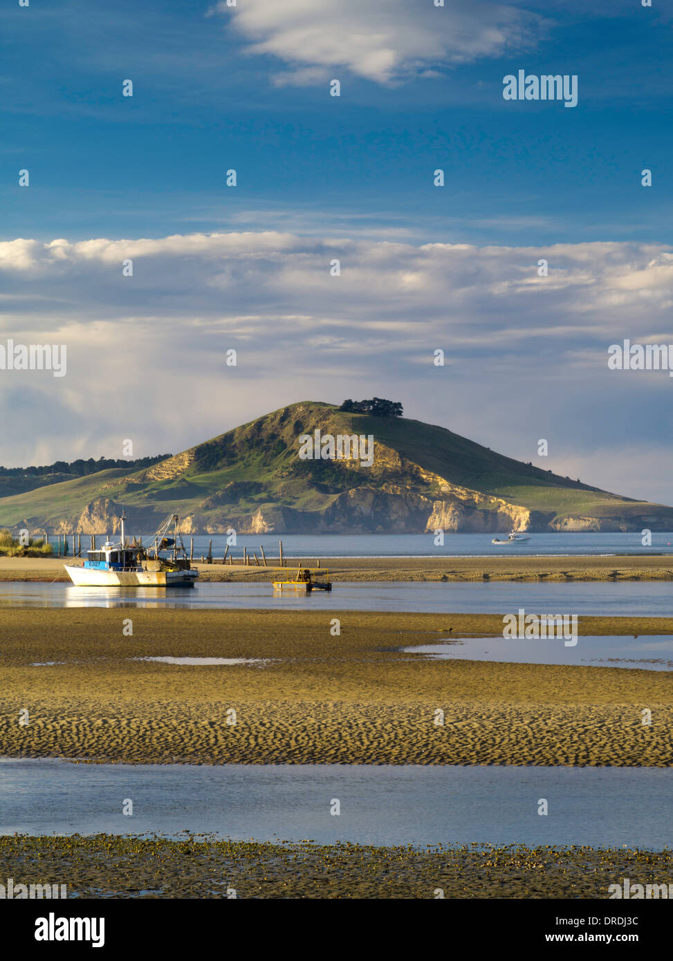 Karitane hi-res stock photography and images - Alamy