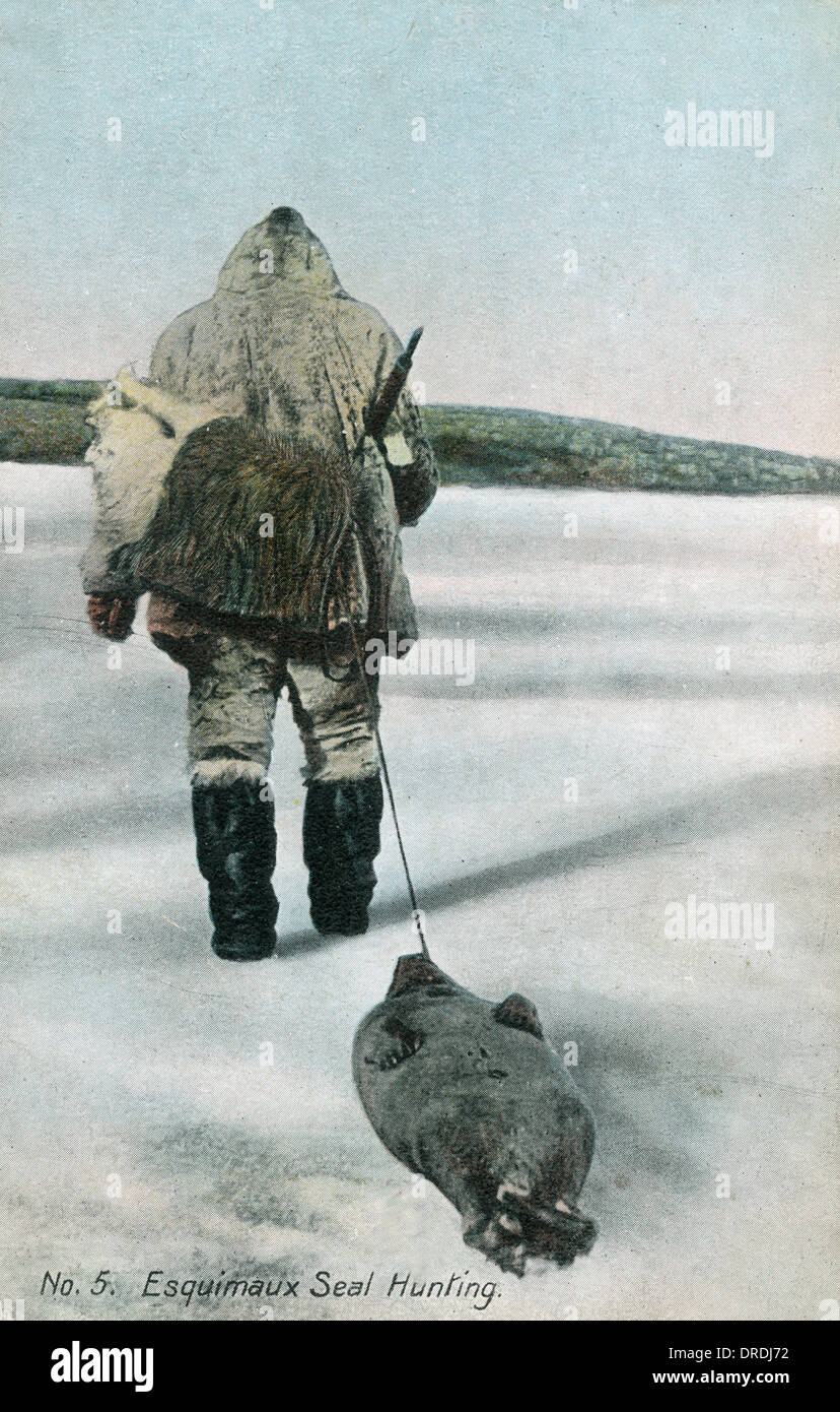 Inuit Seal Hunting