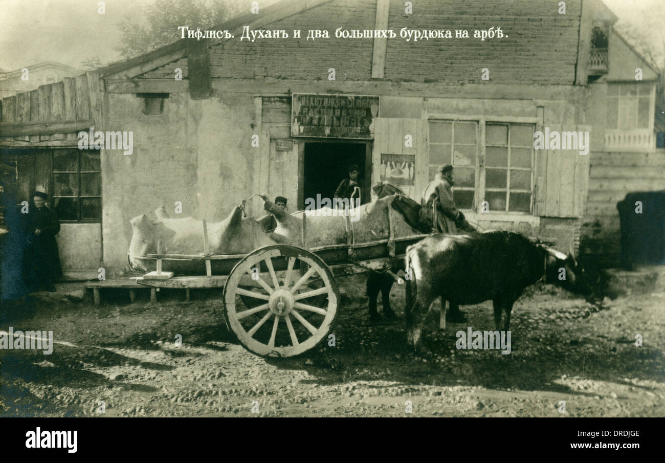 Georgia - Tbilisi - Man selling delivering water in ox skins Stock ...