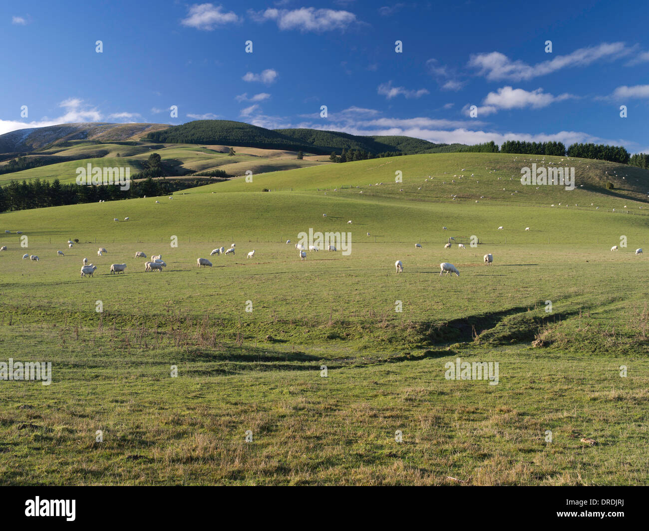 Fairlie new zealand hi-res stock photography and images - Alamy