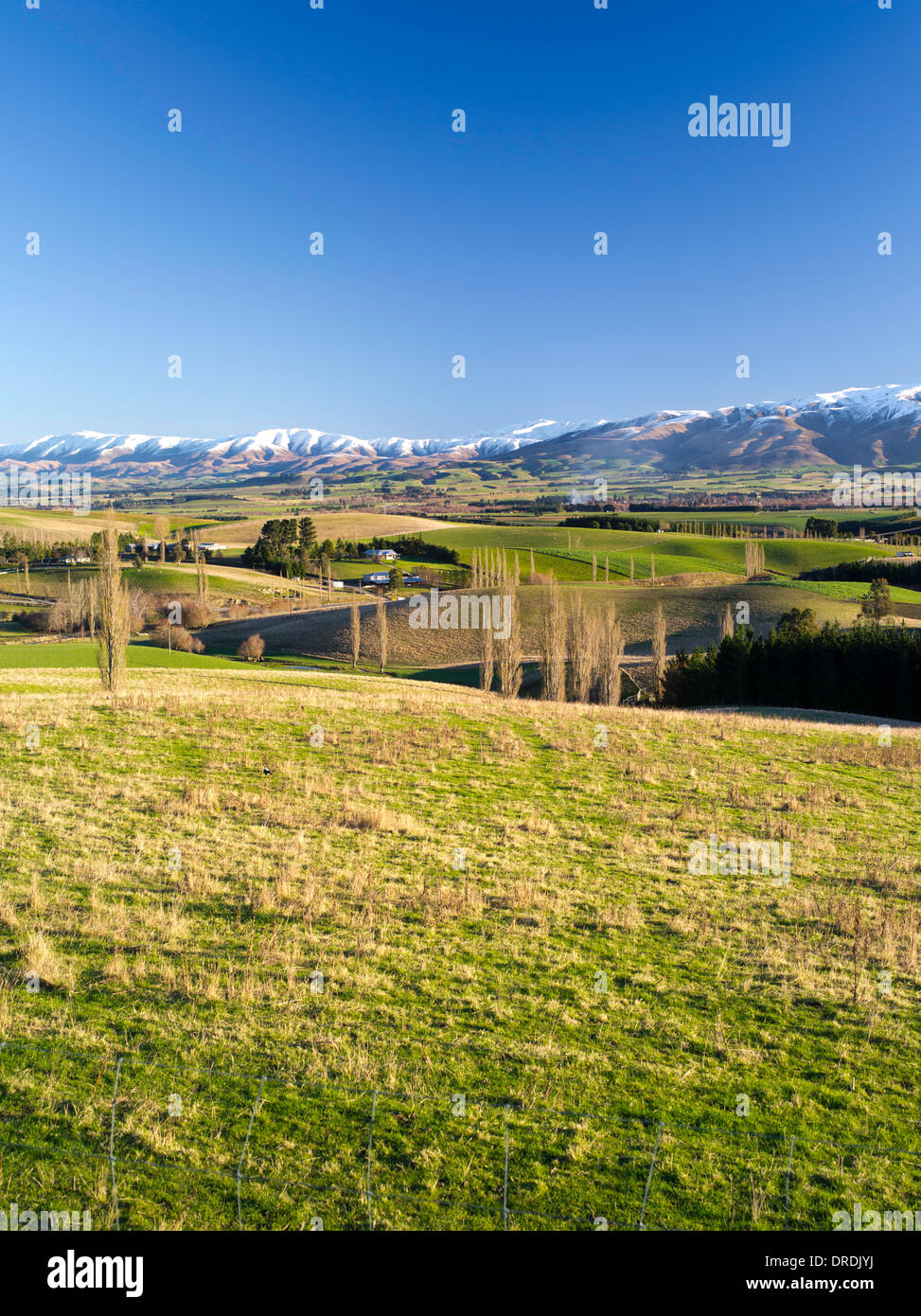 Mackenzie District High Resolution Stock Photography and Images - Alamy