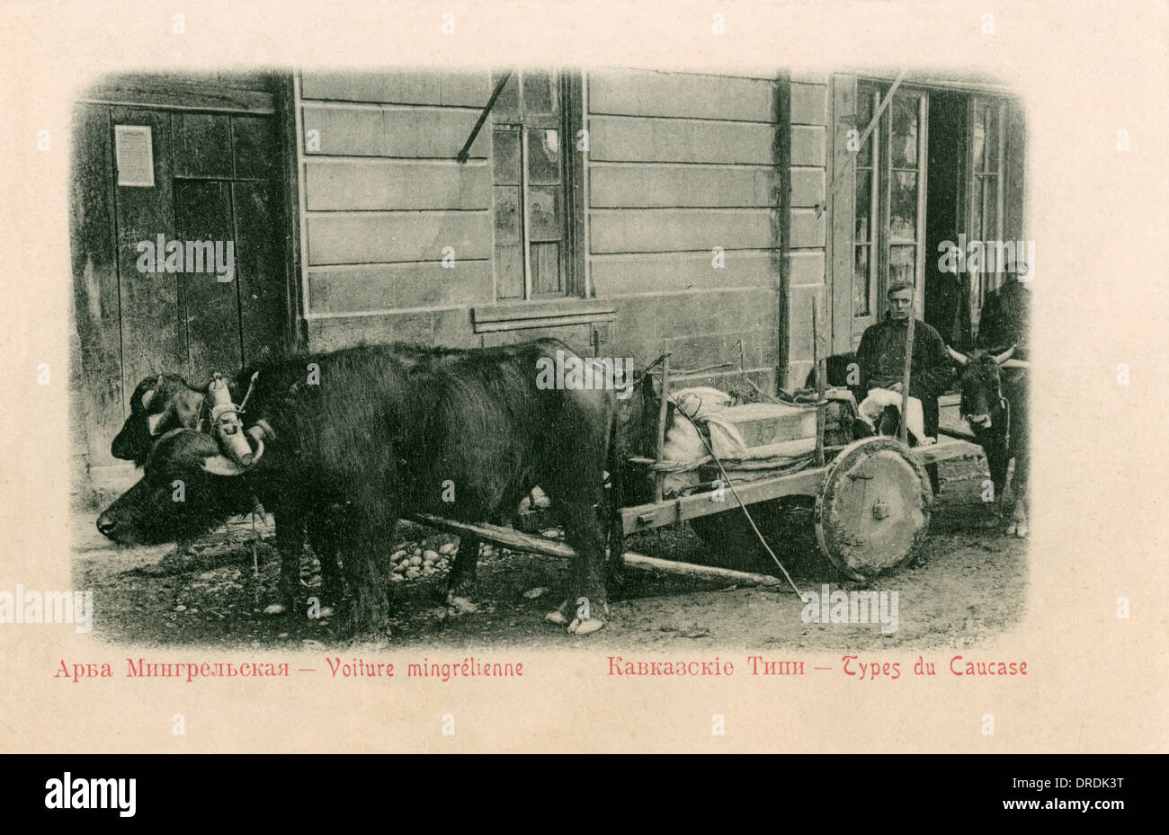 Georgia - Buffalo-pulled wagon - Abkhazia Stock Photo - Alamy