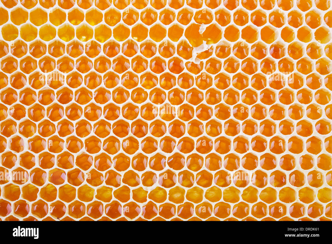 Shot from close range hi-res stock photography and images - Alamy