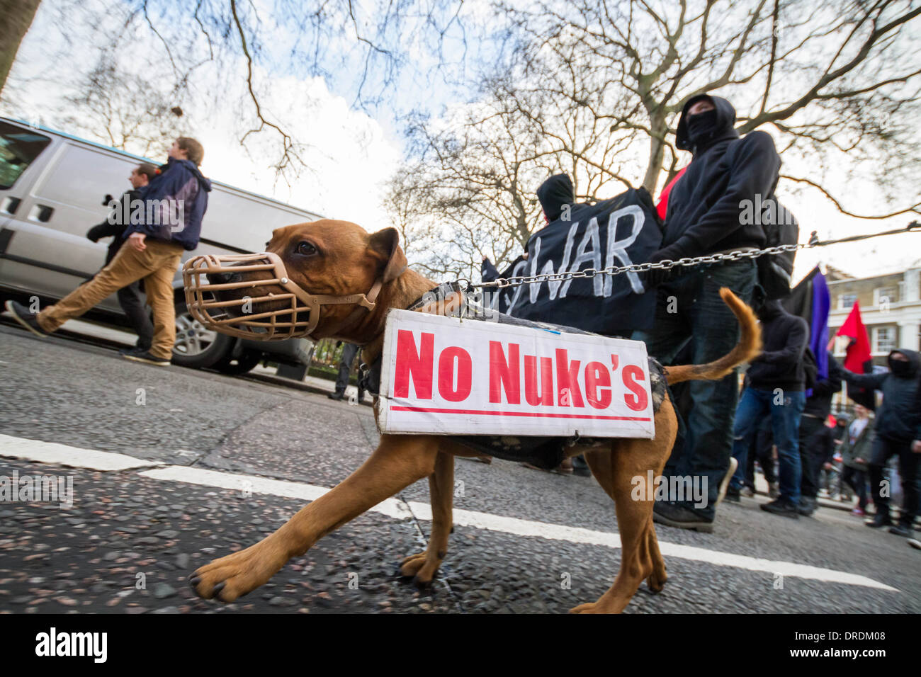 'No Nukes'. Anarchist activists joined students protesting march ...